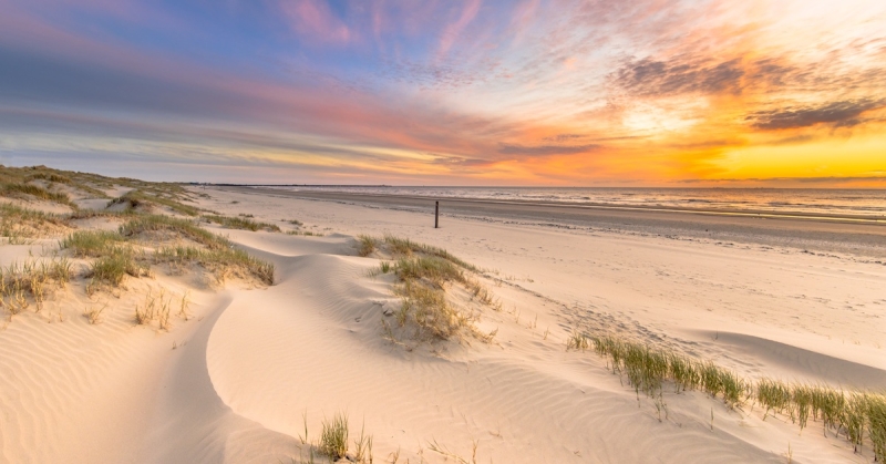 How to Plan a Stress-Free Summer Villa Stay » Spicebush at Sea Pines